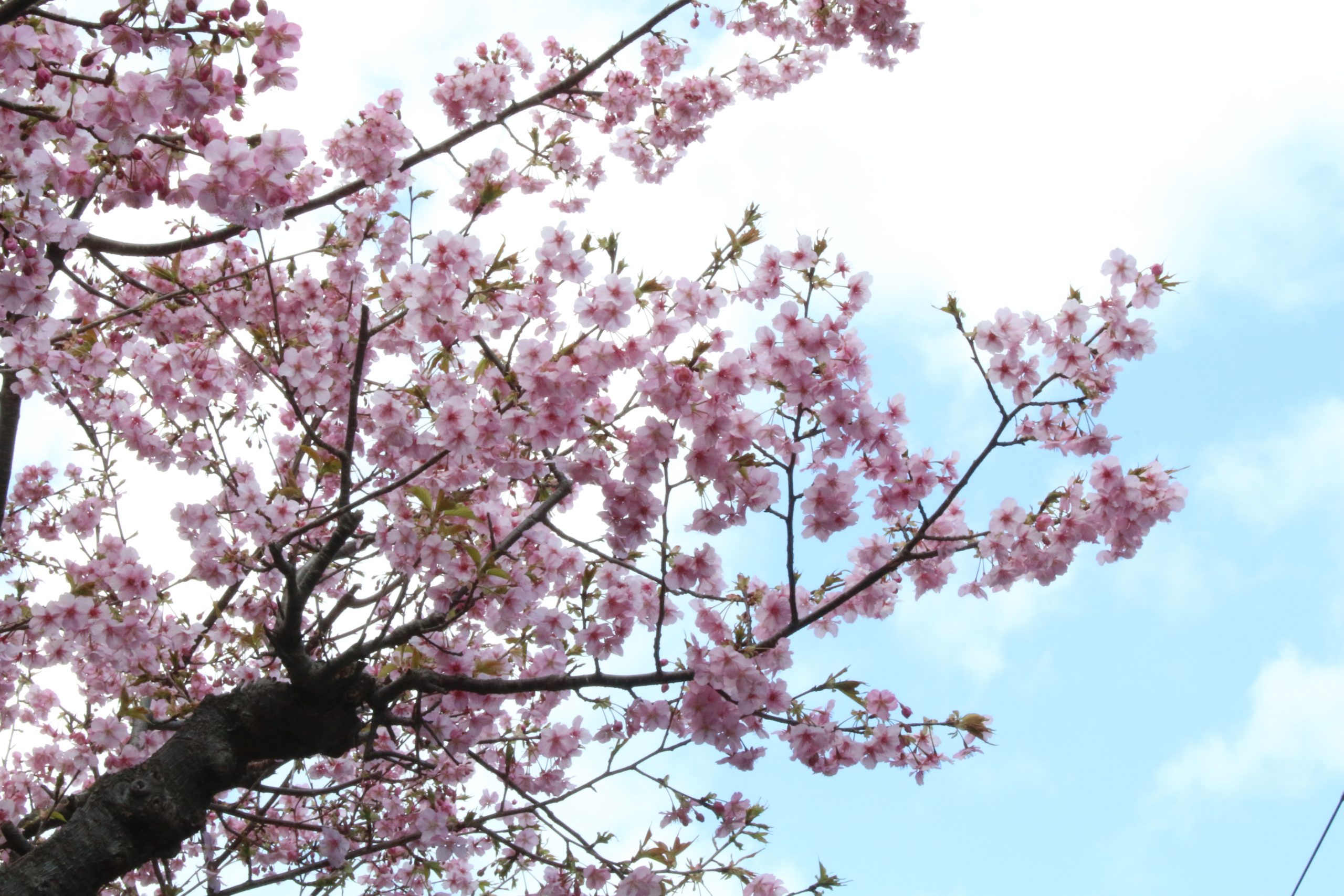 IMG_4597 | ダムツーリング